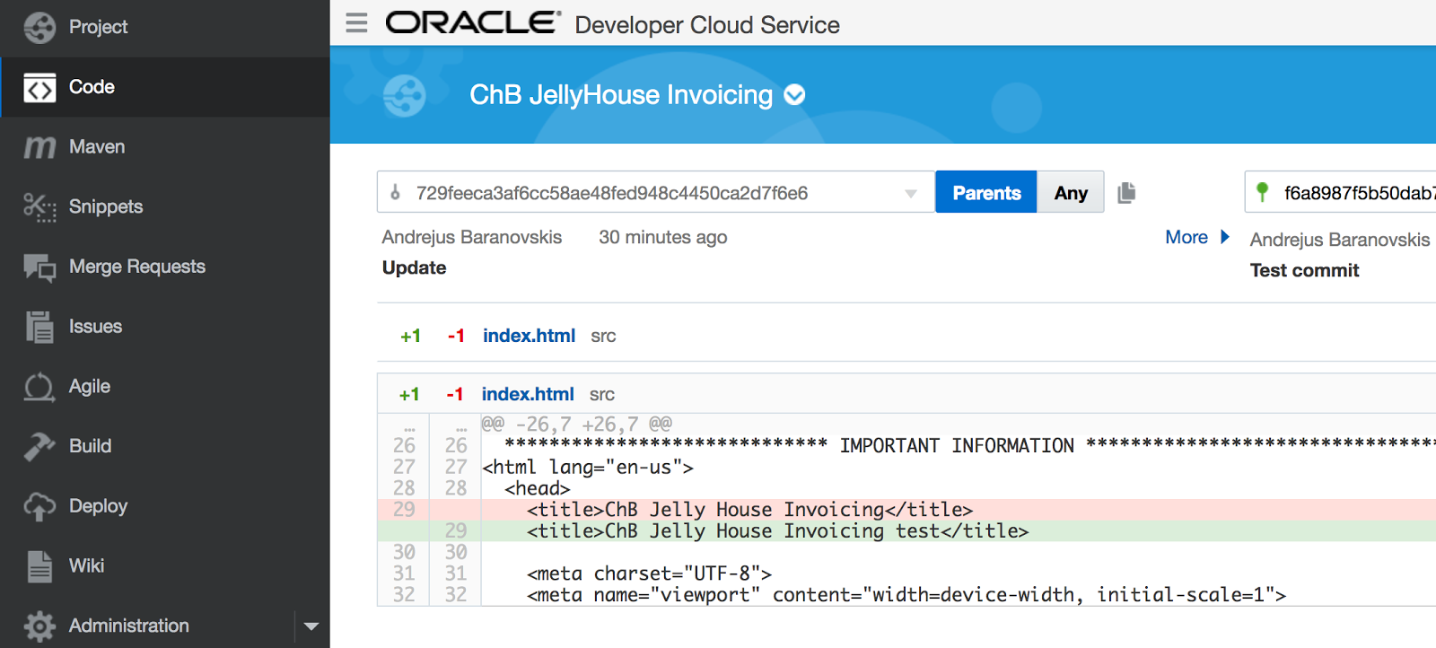 Andrej Baranovskij Blog: NetBeans Git Client for JET Versioning and ...