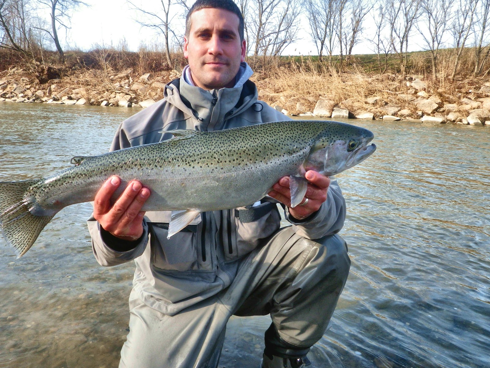 Ohio Fishing Source: Winter Steelhead