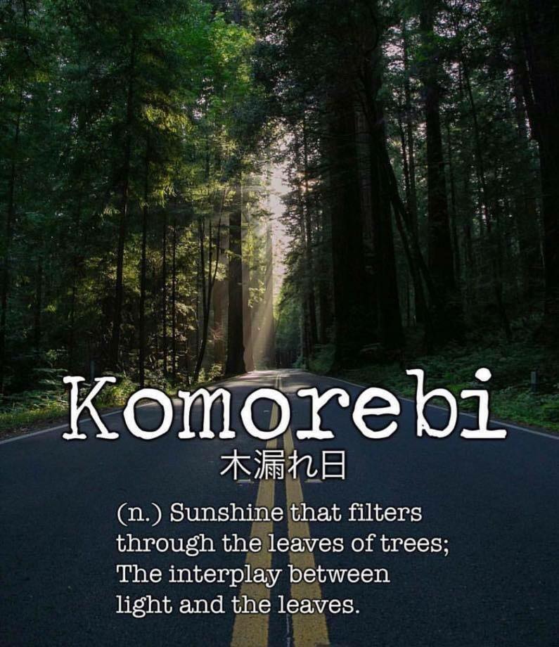 Elaina's Writing World: Komorebi
