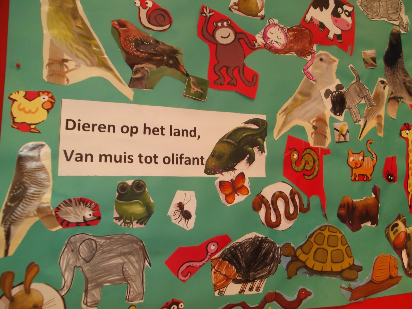 tweede en derde kleuterklas SJB Outrijve: Scheppingsverhaal met de kleuters