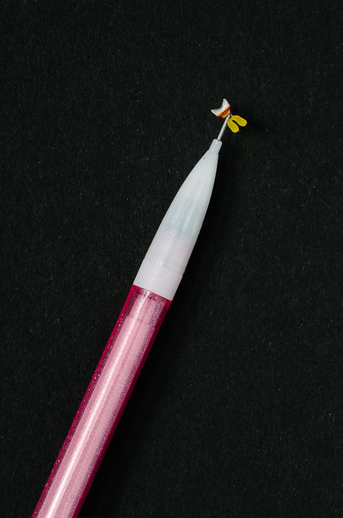 The Orchid Column: Identifying our Acineta