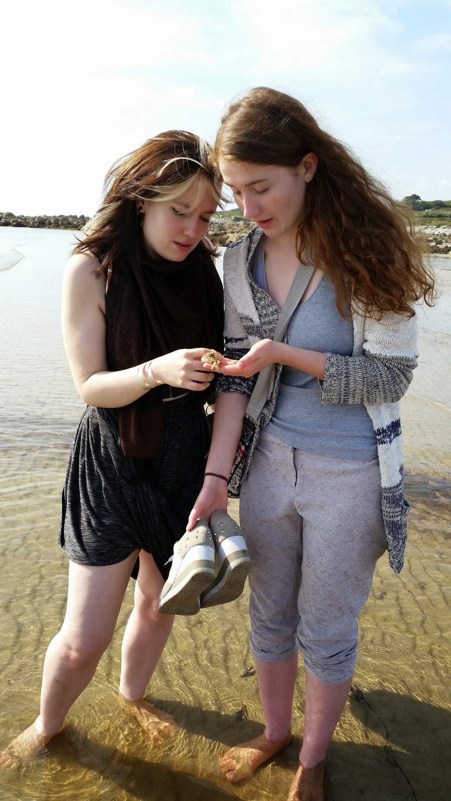 Janet Hyland's Paintings : Scribbles on Wood: SKELLIG MICHAEL
