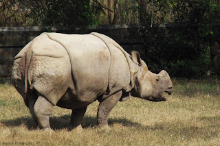 Trip to National Zoological Park- New Delhi