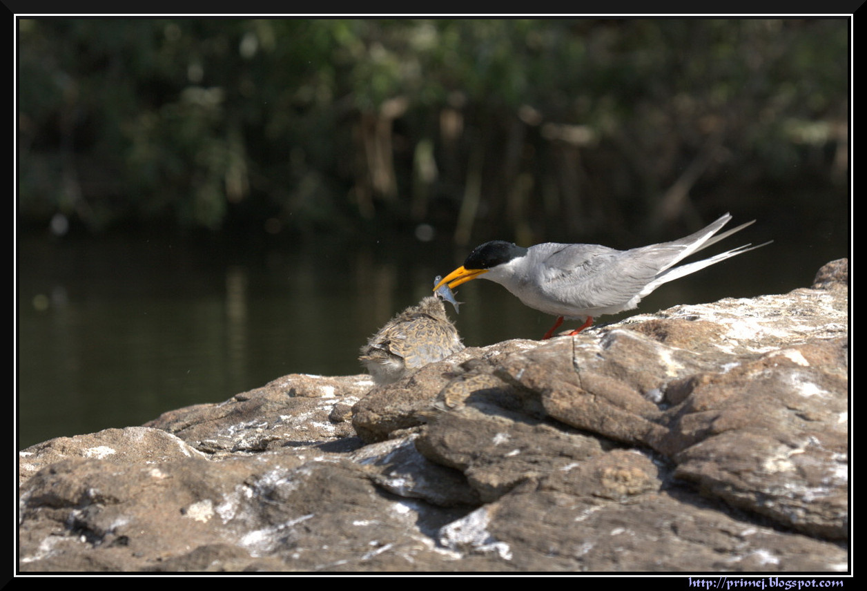 Prime Photos: March 2012