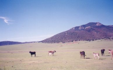 PATRIMONIO INTANGIBLE: CHAPANTONGO