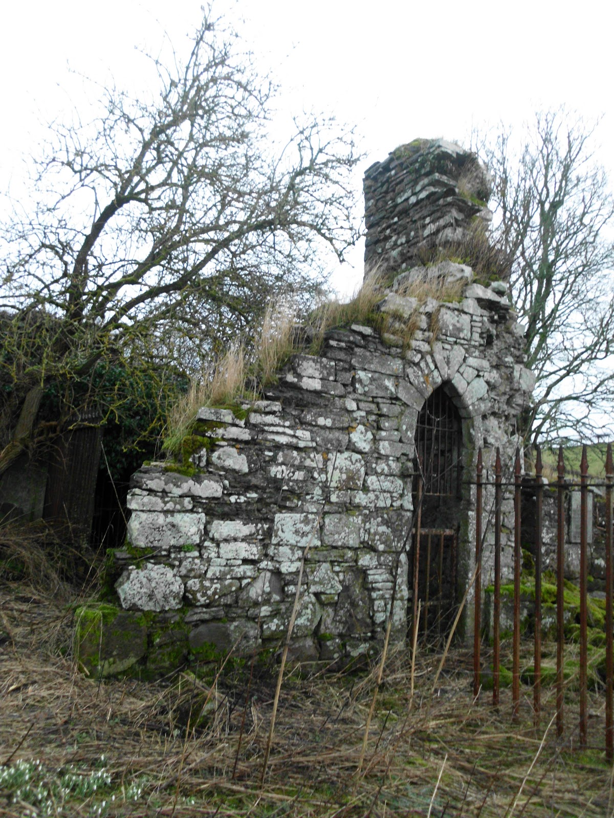 My Daily Walk: The Woods of Doune