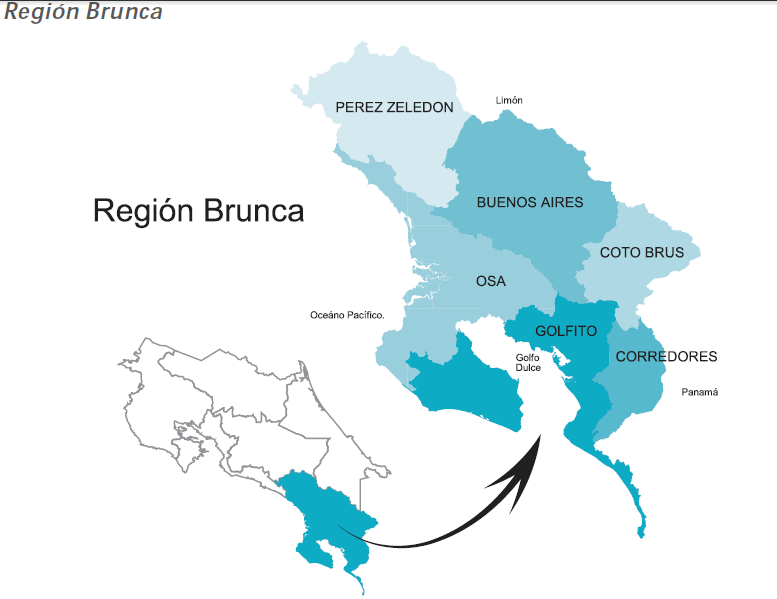 Brunca - Alchetron, The Free Social Encyclopedia