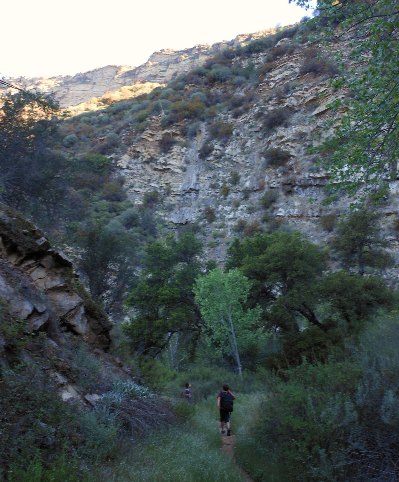 1000 Hikes in 1000 Days: Days 523 & 524: Camping on the Matilija Trail