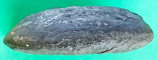 PALEO & GEO TOPICS: Comments by R. L. Squires: Maclurites, an early ...