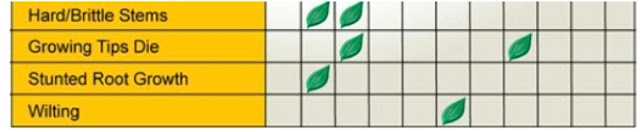 Plant Nutrient Deficiency Leaf Illustrations and Charts Reference Guide ...