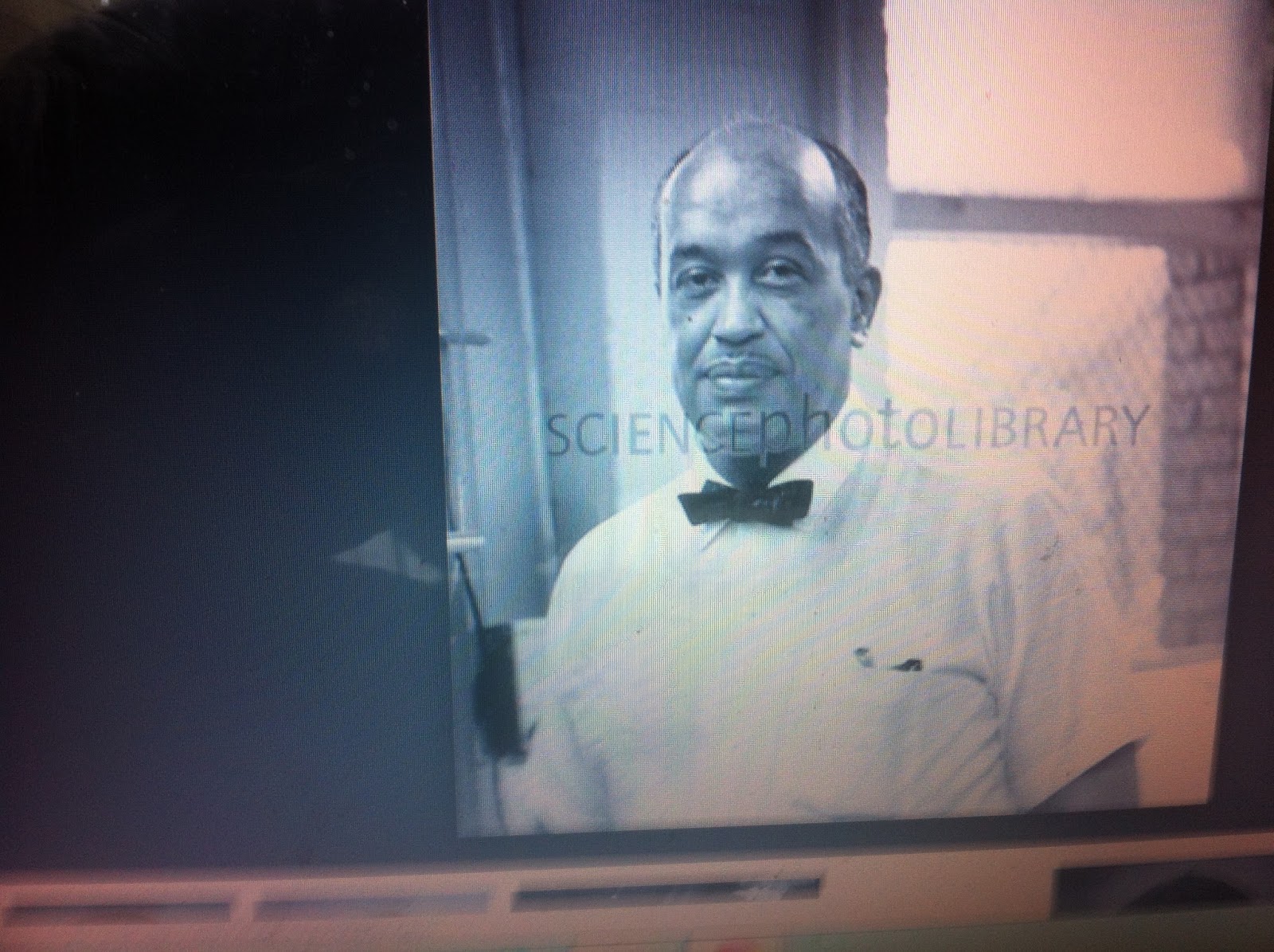 THE BLACK SOCIAL HISTORY:: BLACK SOCIAL HISTORY : AFRICAN AMERICAN ...