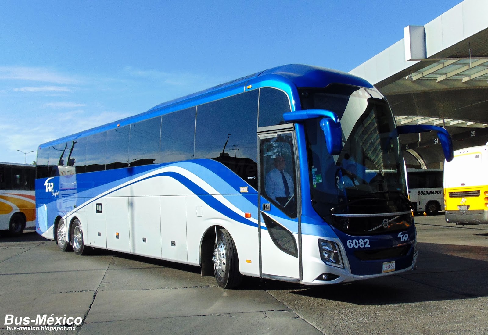 Transportes y Autobuses del Pacífico: TAP Confort - Bus-México