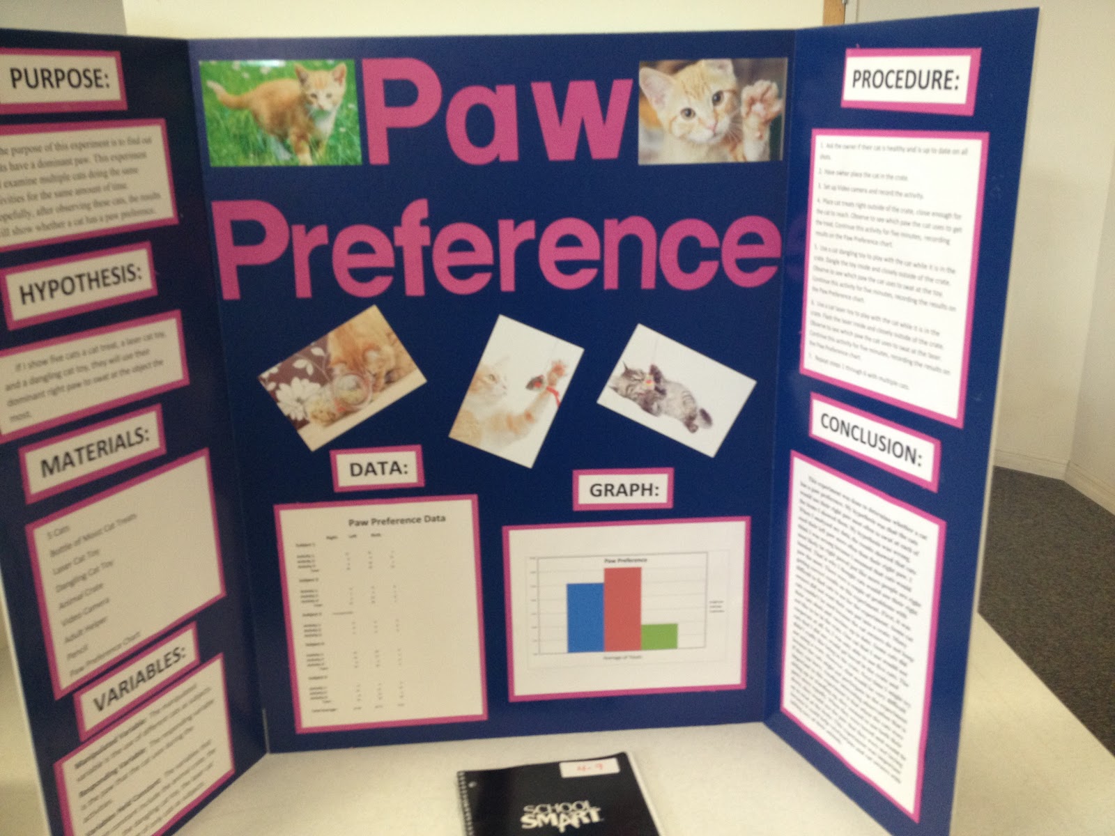 Ms. Social Studies: Science Fair Projects
