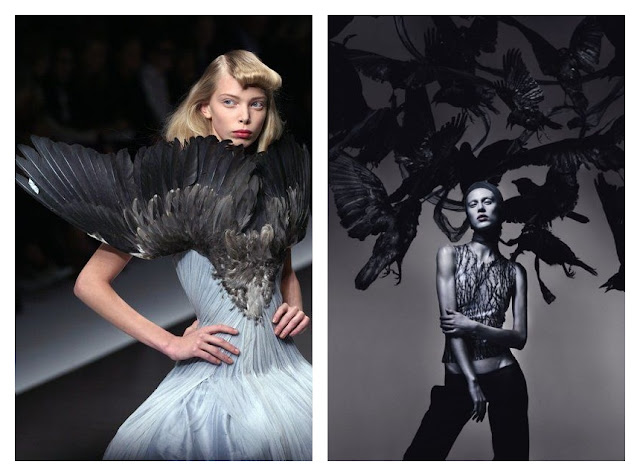 Designer’s Archive:Alexander McQueen’s Bird | Black Hex