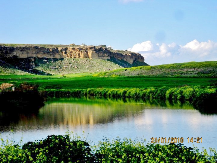 Biodiversity of Cyprus by NGO Protection of the Natural Heritage and ...