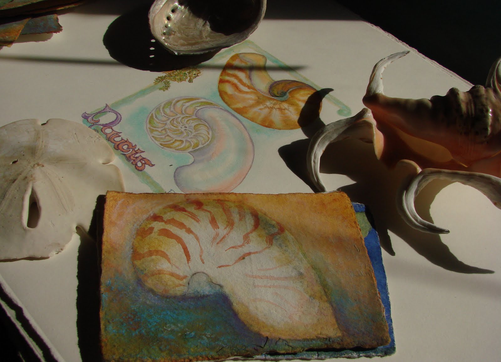 O'Shields Fine Art Daily Paintings: Phyllis O'Shields Sea Shells ...