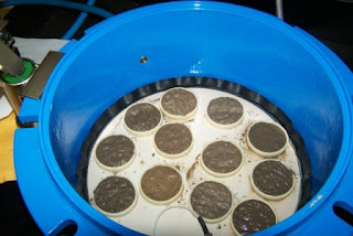 ABE Water Fountain: Richards pressure plate experiment: developing soil ...