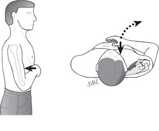 UW Shoulder and Elbow Academy: Rotator Cuff 6 - Clinical examination ...
