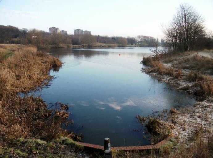 Vinnyman's Birding and Nature Blog.: River Cole/Shard End Lake ...