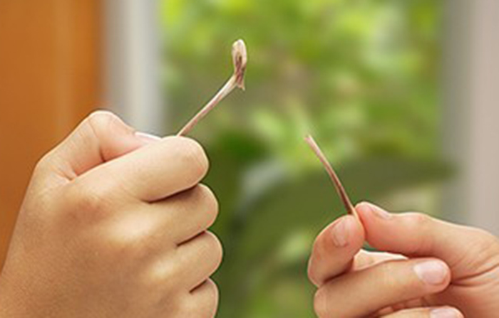 If It's Hip, It's Here (Archives): In Honor Of Turkey Day, 18 Works of ...