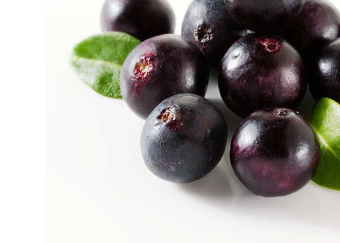 Acai Berry Benefits To Health | ArticleHealth