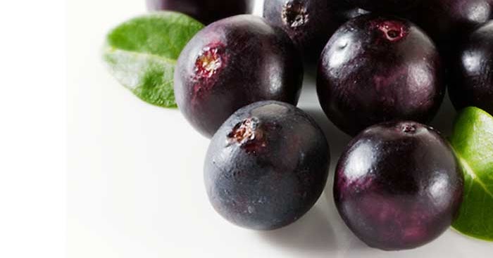 Acai Berry Benefits To Health | ArticleHealth