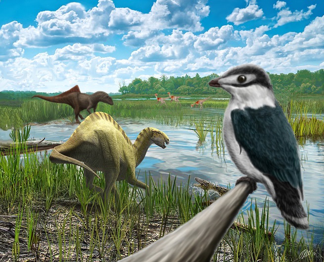 Made in Pangea: Las primeras aves que sobrevolaron España.