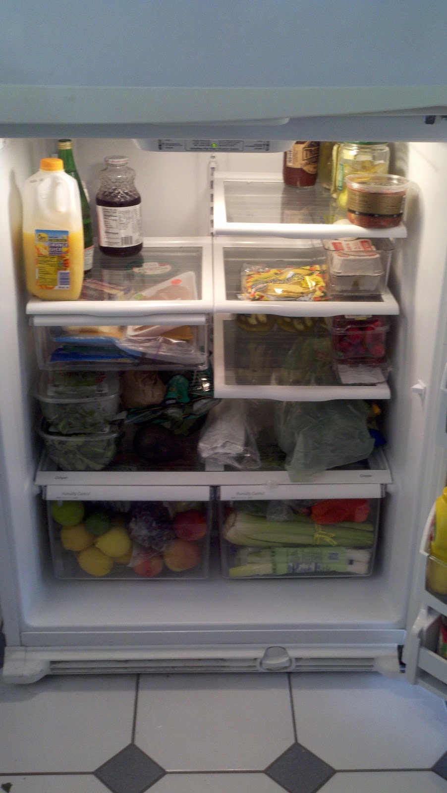 The Food and Health Experiment: The Great Refrigerator Purge