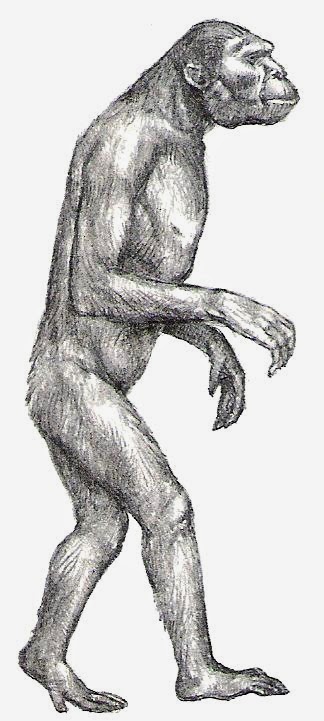 Imparare con la Storia: 2 La comparsa dell'uomo sulla Terra