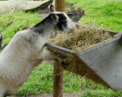 Kuweight 64: 2012-09-16