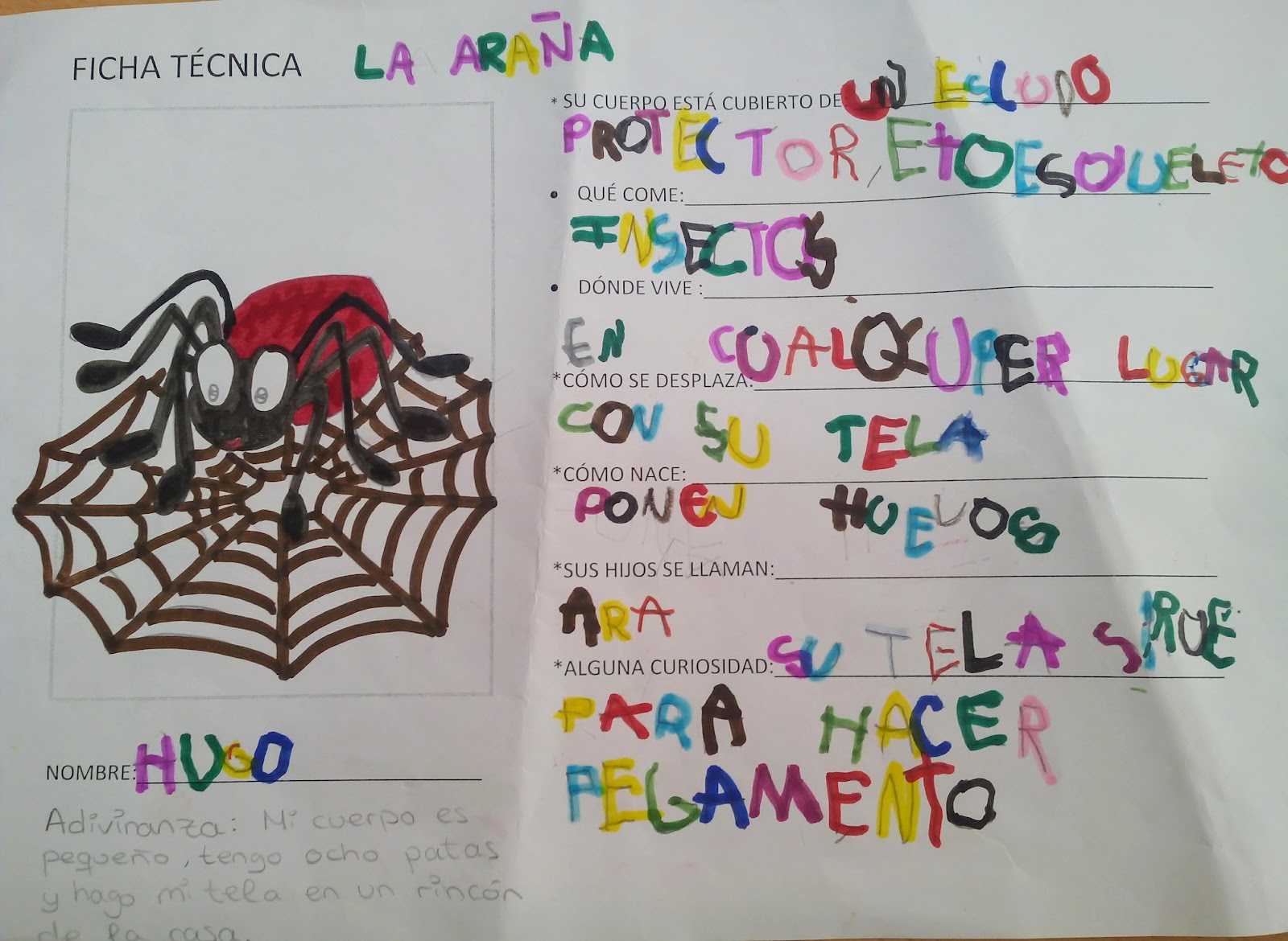 Infantil 4 Años A: 72.- PROYECTO LOS ANIMALES. LA ARAÑA.