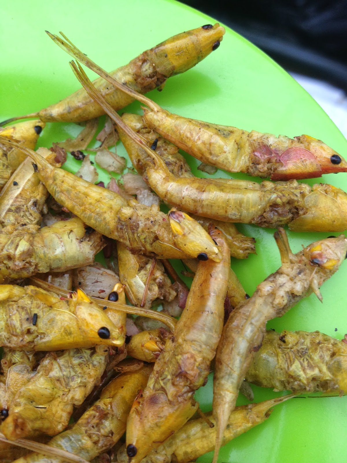 Thoughts of a Globie: Experiencing the local culture