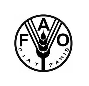 ComercioExterior: First Report FAO/NORAD Peru Project by Yvonne Evans ...