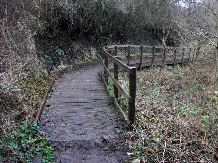 Vinnyman's Birding and Nature Blog.: Plantsbrook Nature Reserve.