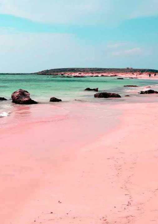 Pink Sand Beach, Bahamas - Travel