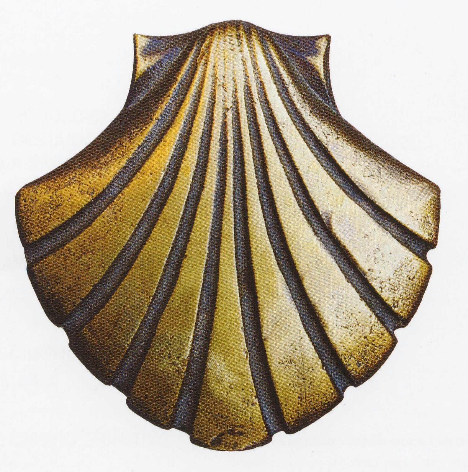 El Camino de Santiago desde Asturias: La vieira y otras señales