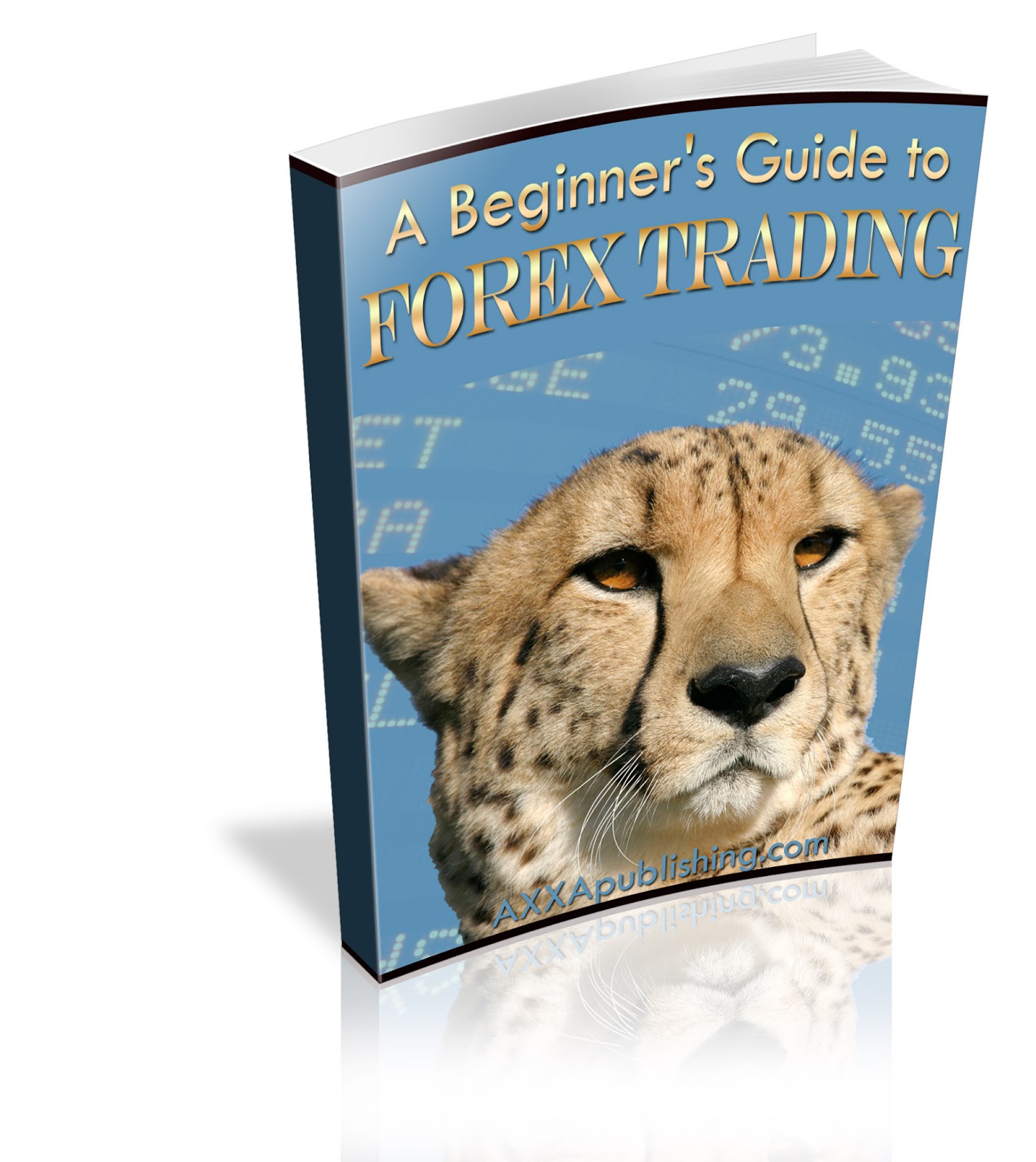 Forex PLR Ebook