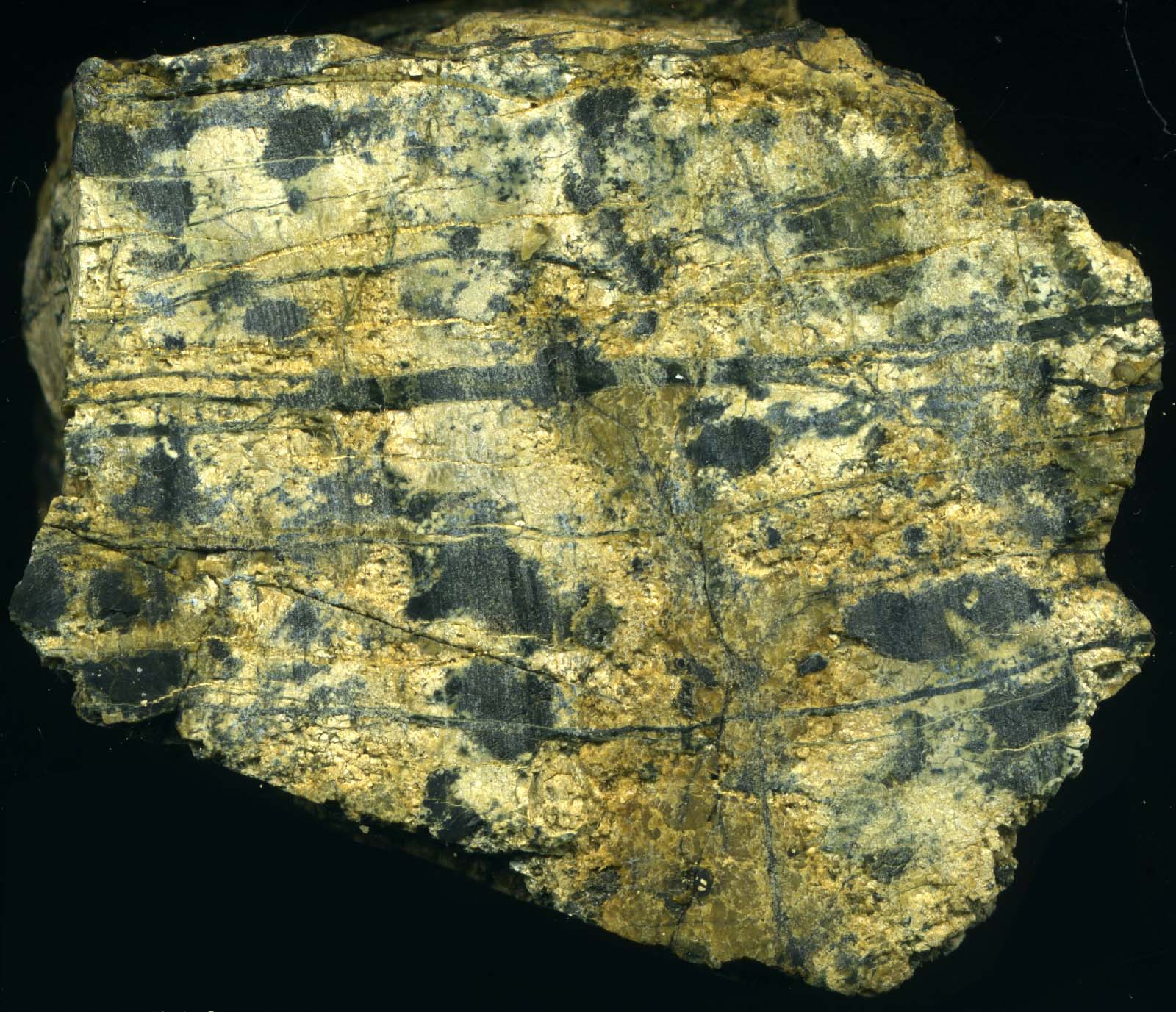 Peridotites: Serpentinized Trinity peridotite