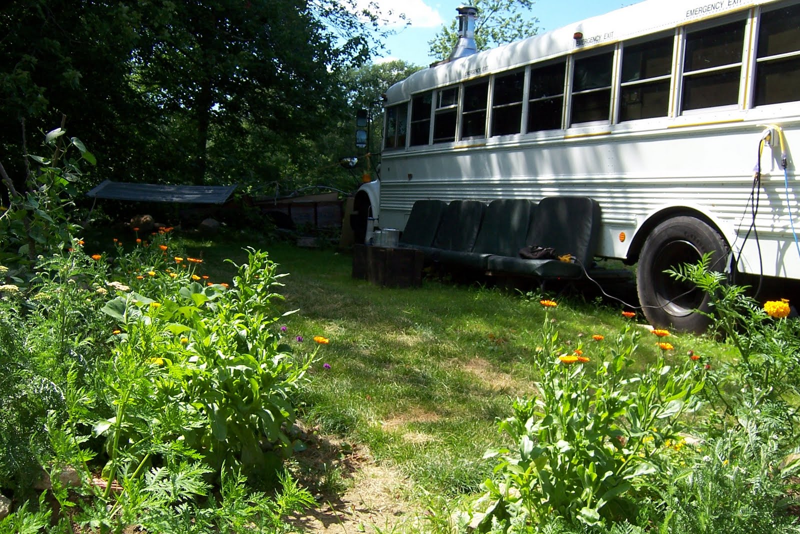 Farm Bus