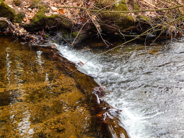 Small Stream Reflections: March 2018