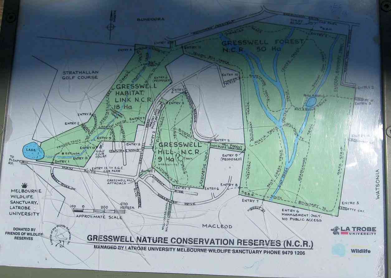 TRACKS, TRAILS AND COASTS NEAR MELBOURNE : Gresswell Forest, - Watsonia