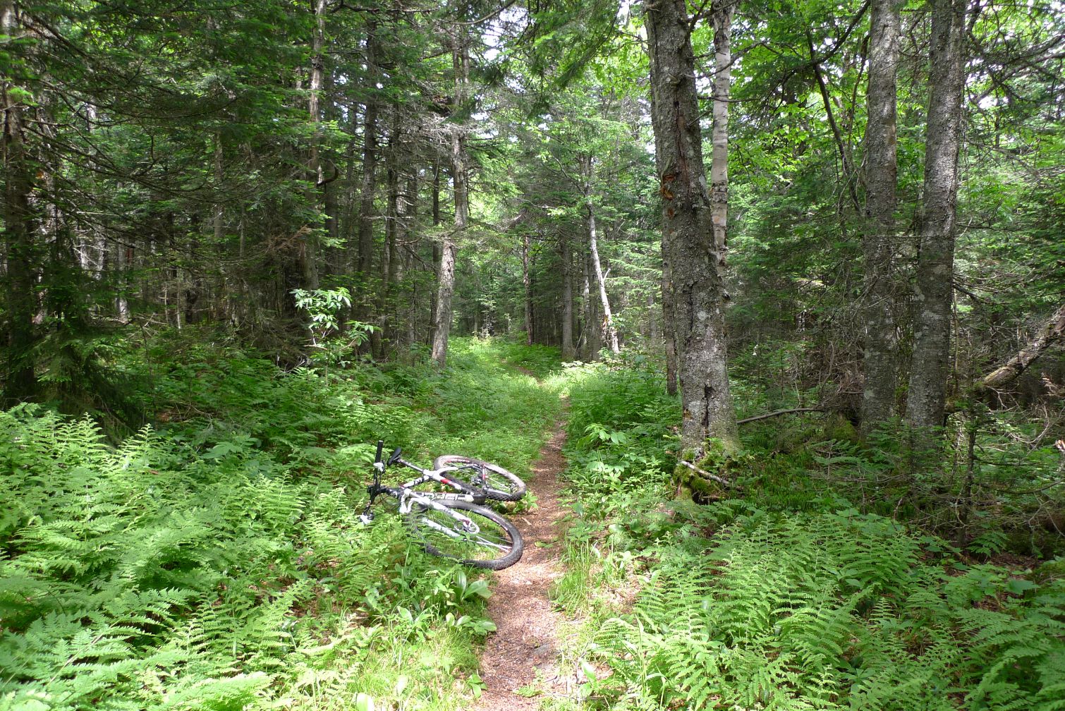 Hill Junkie: Cherry Mountain - Jefferson Notch Loop