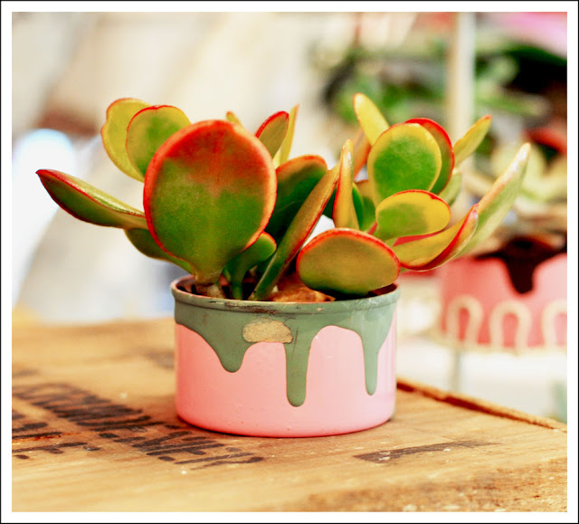 camo meets couture: Inspire Me: Refurbished Tuna Cans