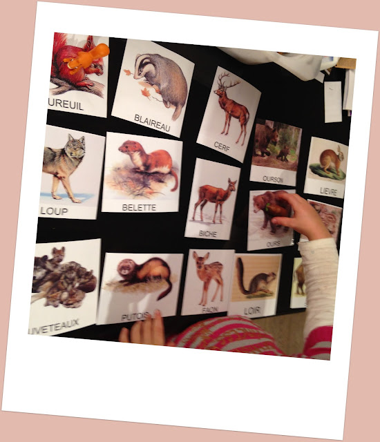 Mon joli petit bureau: Les animaux de la forêt (L'art est un jeu d ...