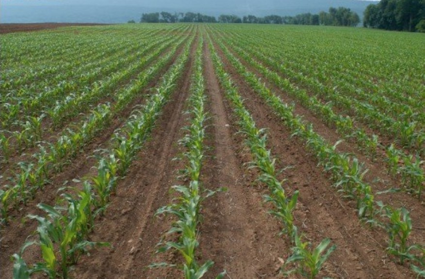PA Environment Digest Blog: Penn State Extension: Farm Soil Health ...