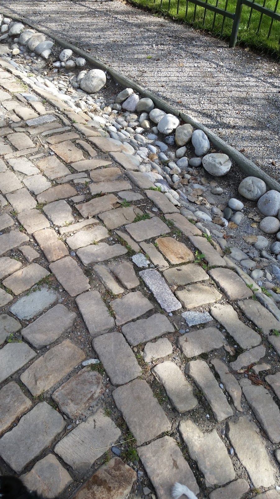 Renaissance Men: Calgary Parks; Reader Rock Garden