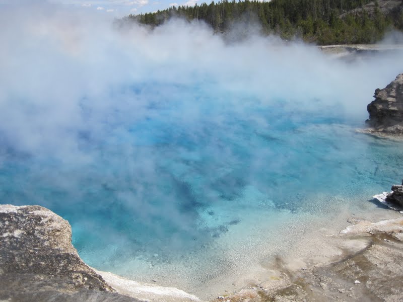 The Scallywagon: YOU SKIN GRIZ', PILGRIM? Yellowstone National Park