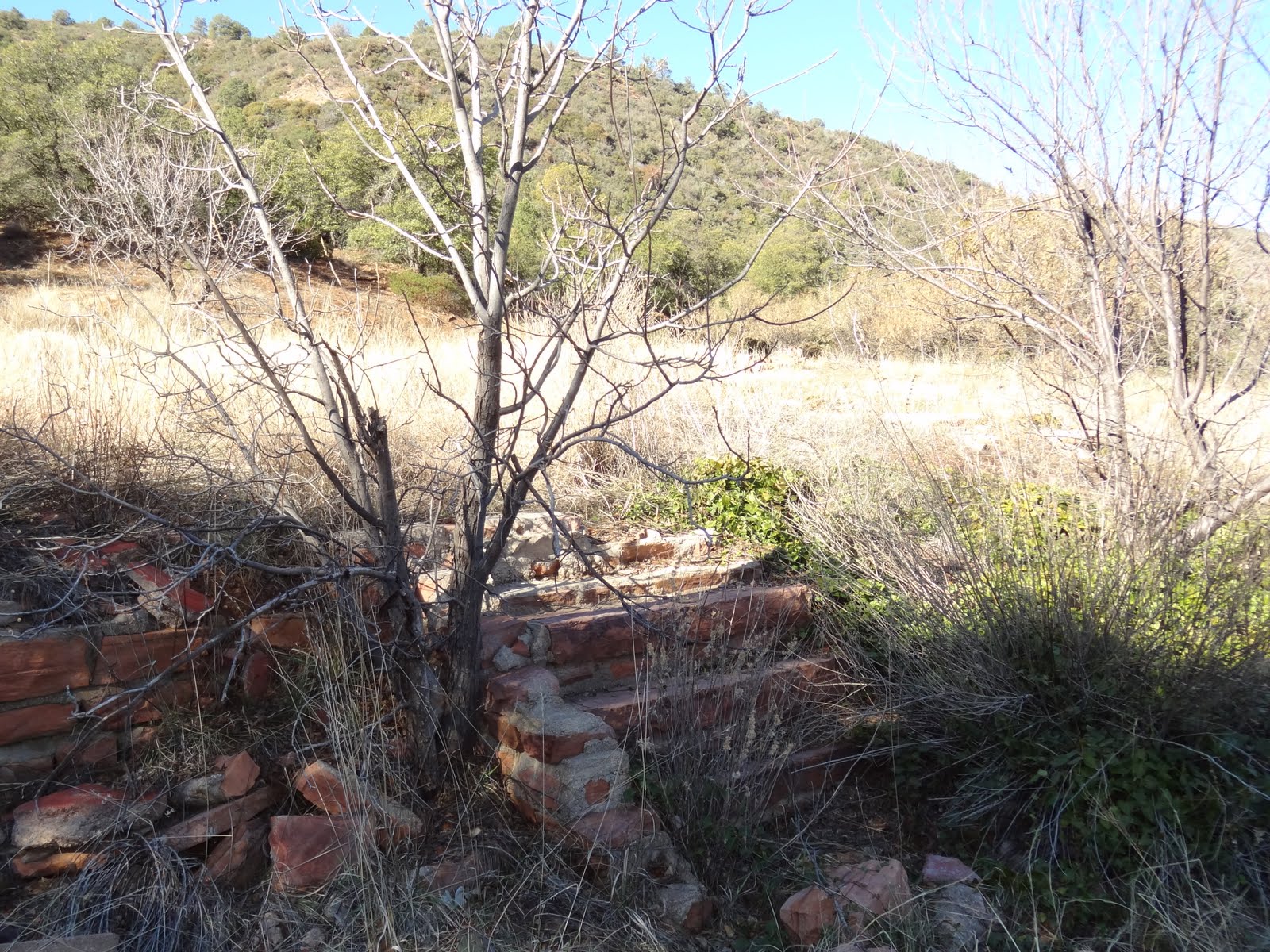 Cyclewhitney: Reavis Ranch New Year