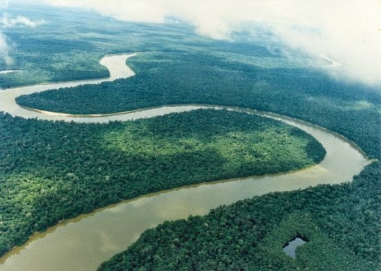 regiones climáticas de colombia: REGIÓN AMAZONICA