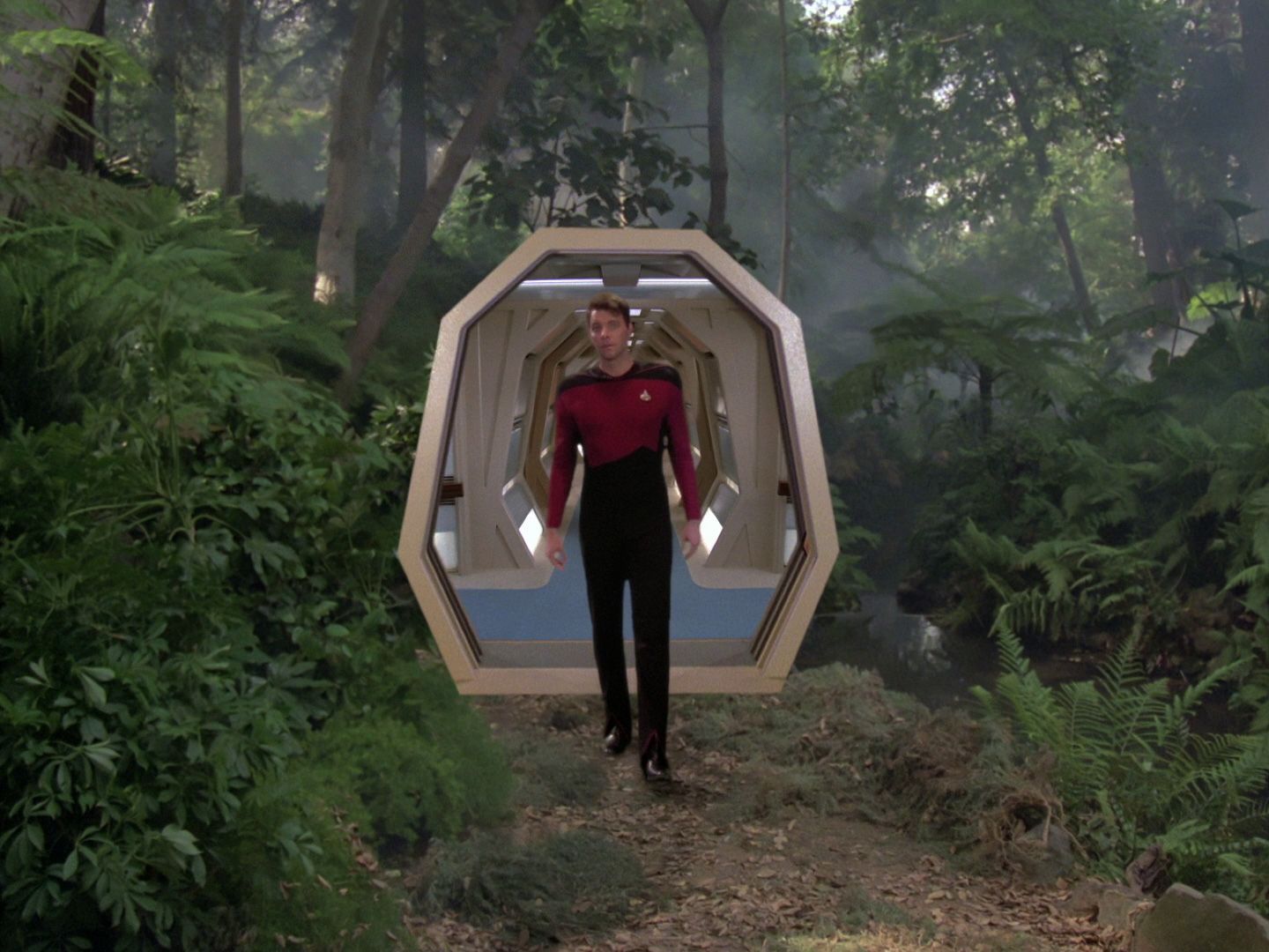 TV with Thinus: Amazon files a patent to create a modern-day holodeck ...